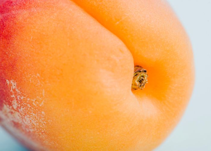 Labia Majora: Anatomy, Function, and Aesthetics