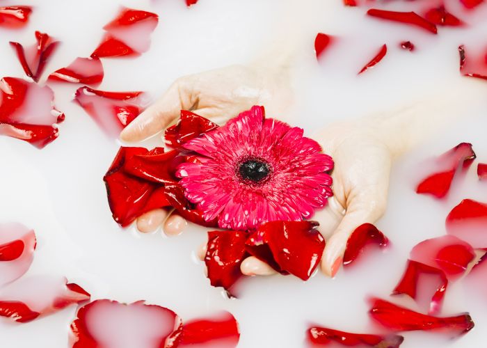 Mons Pubis: Anatomy, Structure and More